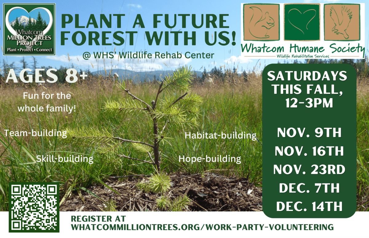 The Volunteer Center of Whatcom County – The Volunteer Center of ...